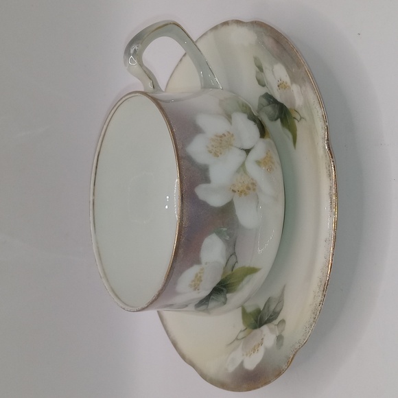 Dining | Antique R S Germany Hand Painted Magnolia Floral Tea Cup And ...